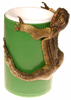 Description: Real Cane Toad With Beer Cooler - Approx 20cm